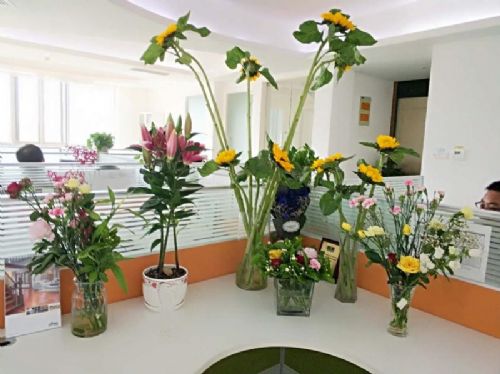 科思创代理商源禾供应科思创封闭固化剂Imprafix 2794 XP 专业团队