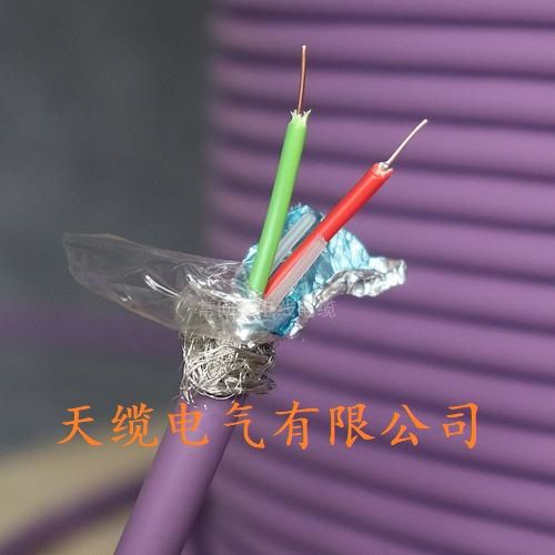 安徽天缆ZR-IA-KX-GS-VPV-12*2*1.5本安型热电偶补偿电