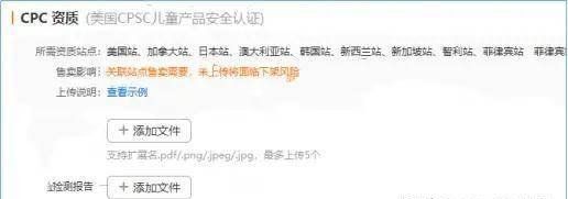 亚马逊/Temu美国站儿童背包CPC认证CPSIA测试办理流程