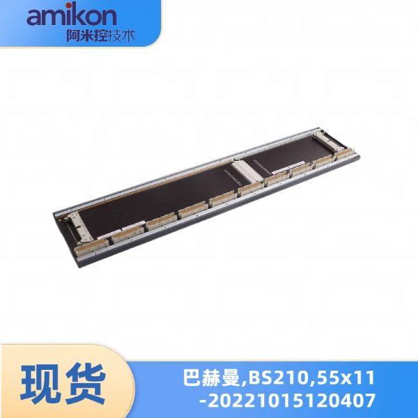 PLC系统BS210 模块 BACHMANN巴赫曼