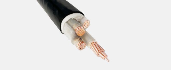 WDZBN-YJY-0.6/1kV 低烟无卤耐火电缆 国标保检