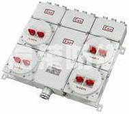 BDG58防爆照明(动力)配电箱 价格:0元/个