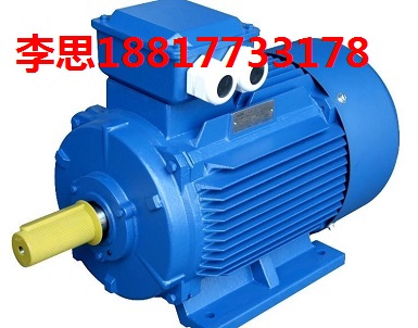 YX3高效电机YX3-180M-2-22KW